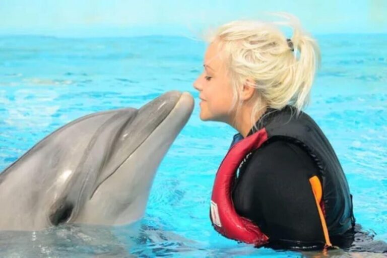 Dolphin Show Tour with Transfer from Alanya & Side - What to Expect from the Dolphin Show Tour