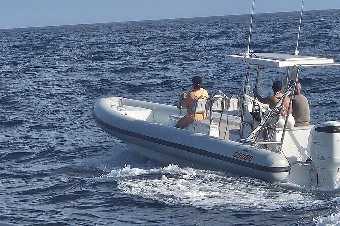 Dolphin Tours in Fuerteventura and snorkeling on the coast - Final Thoughts