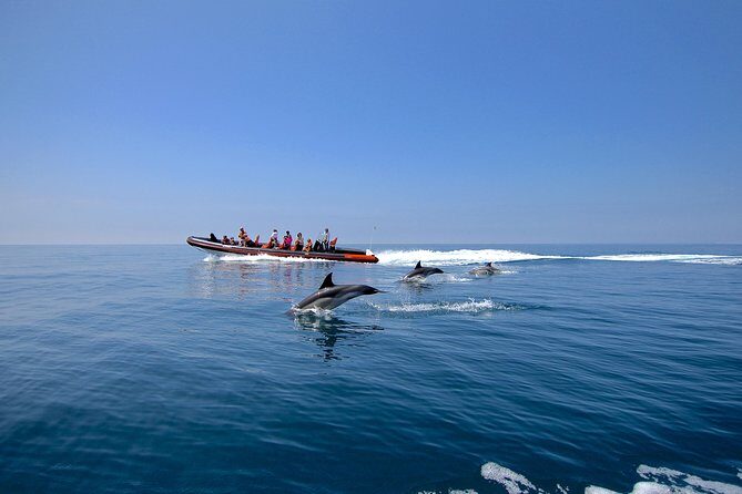 Dolphin Watching and Cave Tour from Vilamoura - The Sum Up