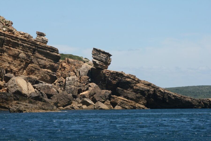 Dolphin Watching and Local Caves - What to Expect: The Experience in Full