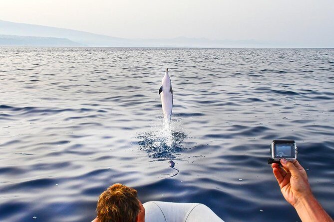 Dolphin Watching & Conservation - Dolphins in the Gulf of Catania - The Practical Details