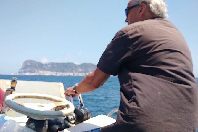 Dolphin Watching in Gibraltar with Dolphin Safari - The Sum Up