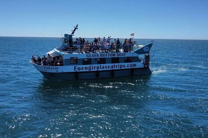 Dolphin watching on a Catamaran in Fuengirola - Who Will Love This Experience?