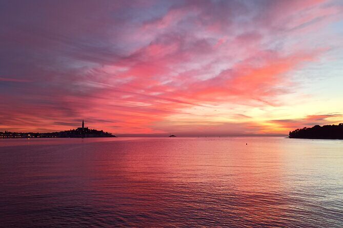 Dolphin Watching Sunset Speedboat Tour with Drinks in Rovinj - Who Should Book This Tour?