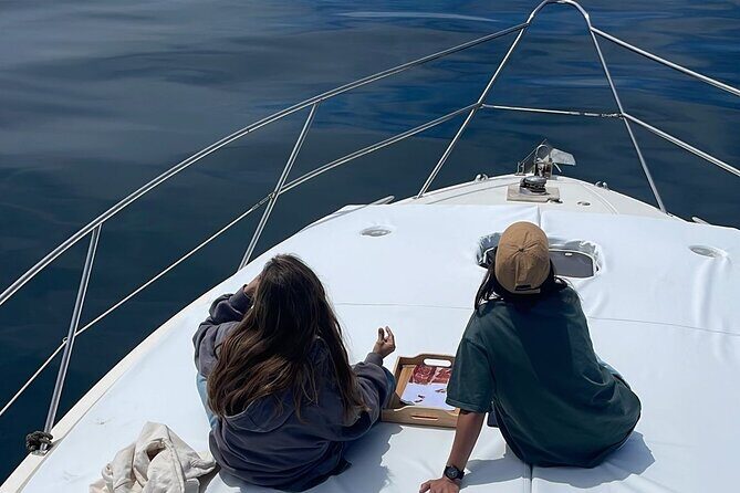 Dolphins and Sea Boat Adventure in Manilva Coast - The Practical Side: Pricing, Booking, and Considerations