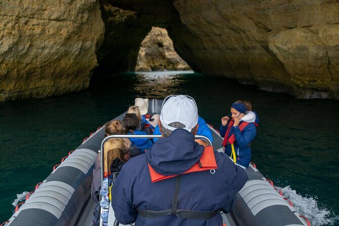 Dolphins & Caves on Rib Boat - Why This Tour Offers Great Value