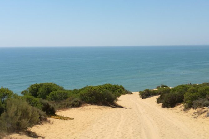 Donana National Park and El Rocío: Private Tour from Seville - Final Thoughts