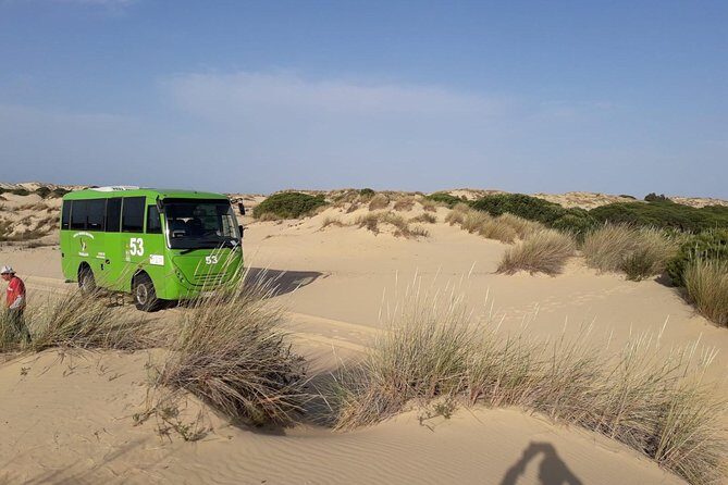 Doñana National Park in 4x4 and El Rocío - Is This Tour Worth the Price?
