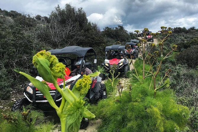 Double Trouble Adventure in Limassol - Why This Tour Offers Great Value