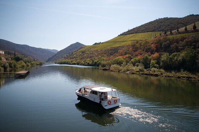 Douro River Cruise - Private River Cruise - Pinhão 1 Hour - The Practical Side: What You Need to Know