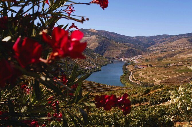 Douro Three Winery Small Group Tour with Lunch and Tastings - Why This Tour Offers Great Value