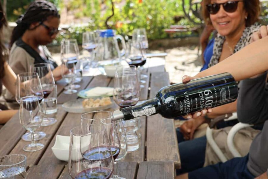 Douro Valley: Half-Day, with 1 winery & 1-h boat tour - Discover what makes this Douro Valley tour special