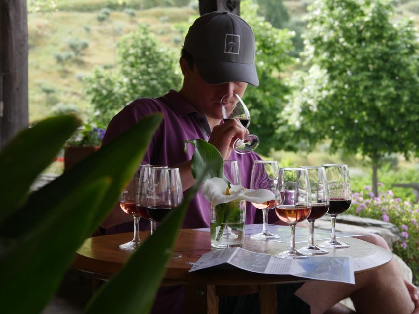 Douro Valley: Premium Port Tasting Winery Tour & River Views - The Value and Practical Details