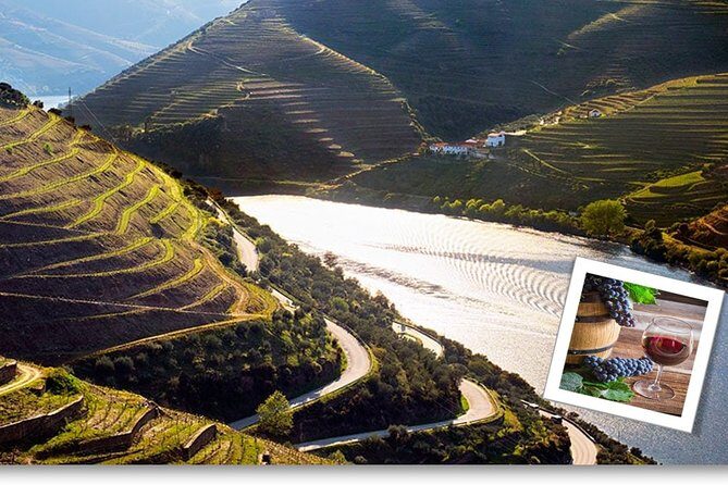 Douro Valley Private Premium Tour with Wine Tasting (1 to 4 people) - What’s Included and What’s Not
