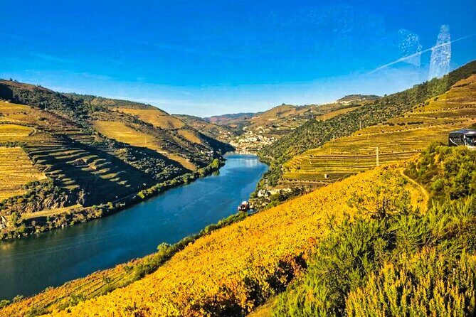 Douro Valley Private Tour: 2 Farms, Lunch & Boat Trip - First Stop: Douro River Boat Trip