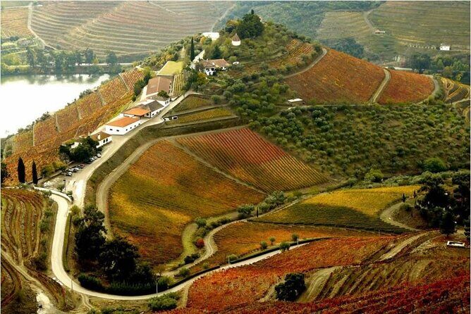 Douro Valley  Private UNESCO Wine & Cultural Experience - Additional Info & Practical Considerations
