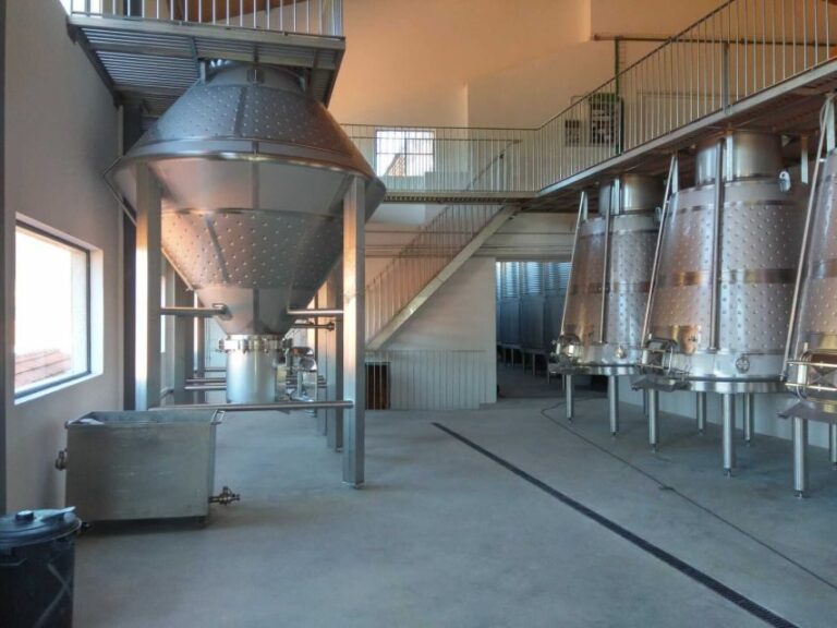 Douro Valley: Quinta de S. Luiz Winery Tour and Tasting - An In-Depth Look at the Quinta de S. Luiz Tour