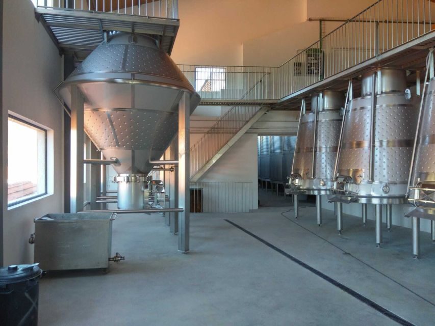 Douro Valley: Quinta de S. Luiz Winery Tour and Tasting - An In-Depth Look at the Quinta de S. Luiz Tour