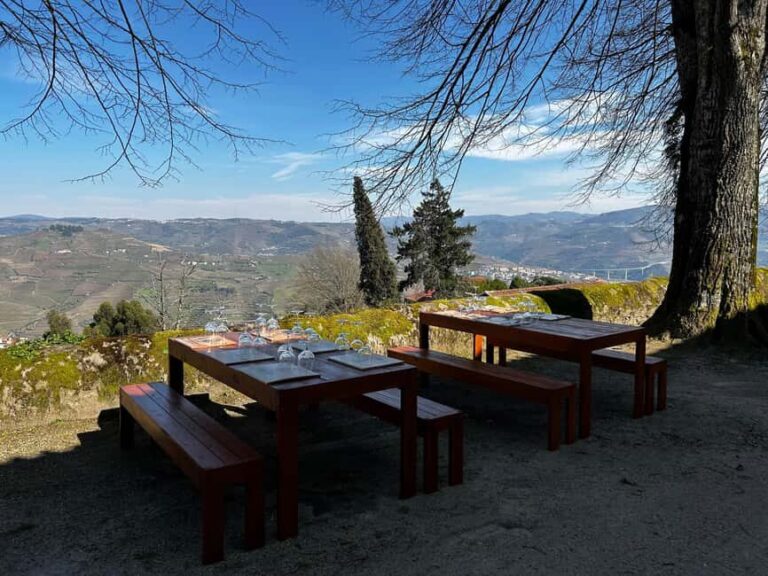 Douro Valley: Quinta Santa Júlia Tour, Wine Tasting & Lunch - Practical Details and Value
