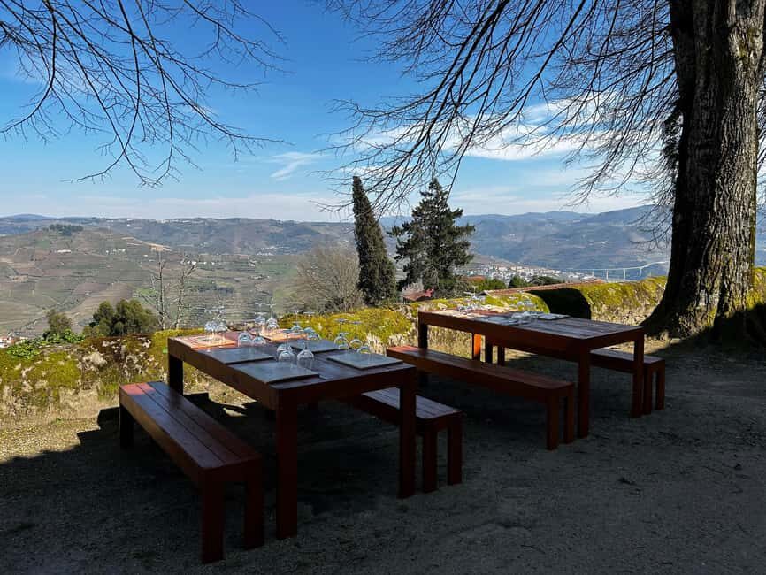 Douro Valley: Quinta Santa Júlia Tour, Wine Tasting & Lunch - Practical Details and Value