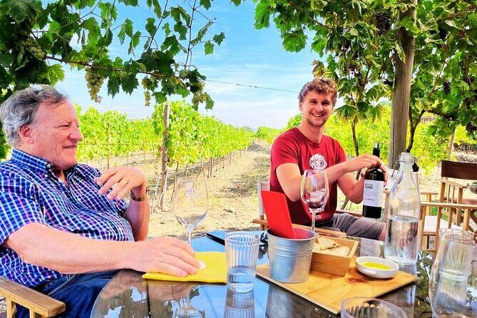 Douro Valley Small-Group Tour: 2 Wineries, Lunch, Optional Cruise - Transportation and Group Size