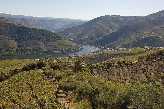 Douro Valley Tour Wine and breathtaking views - Visiting a Historic Family-Run Winery