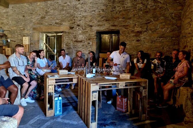 Douro Valley Vineyard Visits Wine Tasting Boat Ride and Lunch - Who Is This Tour Best For?