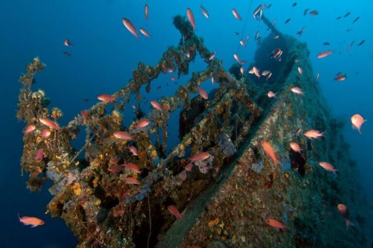 Dubrovnik: 1-Day Diving Package - Is This Tour Worth It?