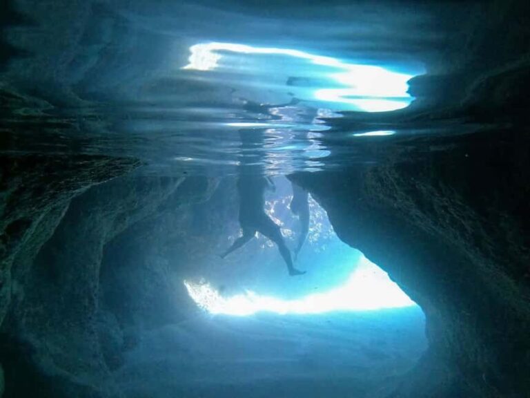 Dubrovnik: Elaphiti Islands Caves Snorkeling & Swimming Tour - The Value of the Experience