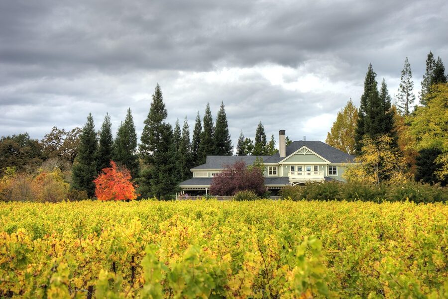 Duckhorn Vineyards estate in Napa Valley
