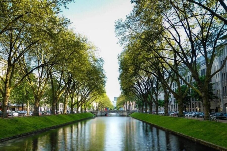 Dusseldorf : Highlights Walking tour with A Guide - What Makes This Tour Stand Out