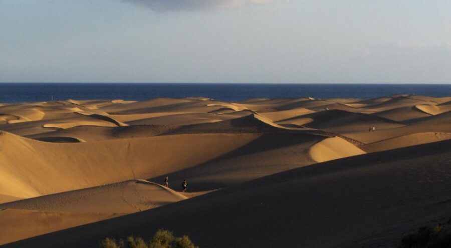 E-Bike City Tour included Camel Tour inside Maspalomas Dunes - What Makes This Tour Special?