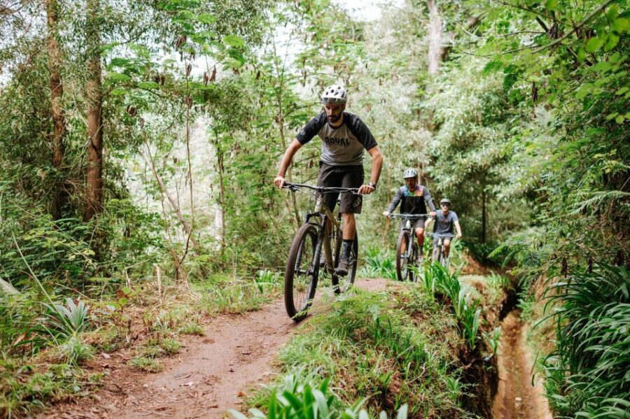 E-Bike Guided Tour - Mountain biking experience - Who Will Love This Tour?