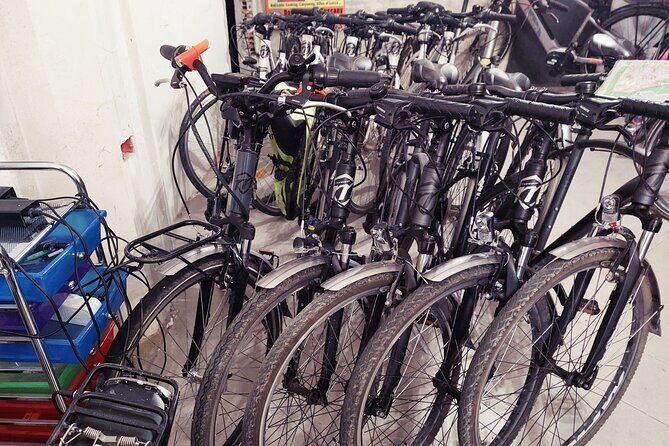 E-Bike Rental in Lucca - How the Experience Unfolds