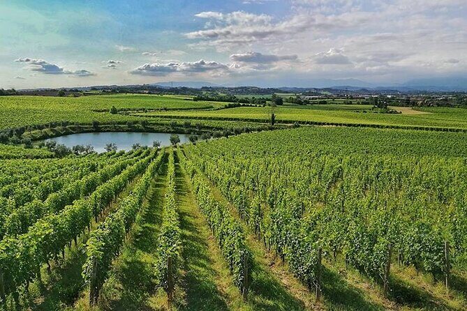 E-Bike tour and Wine tasting from Desenzano Inland - Who Will Love This Tour?