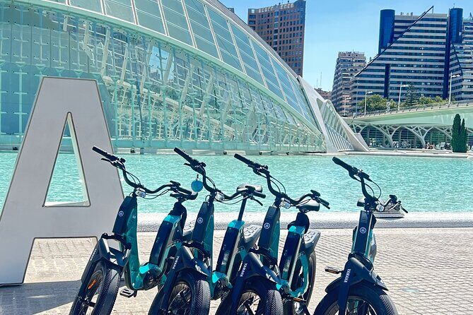 E-bike Tour: Beaches, & City of Arts and Sciences (From 30,00) - What the Reviews Tell Us