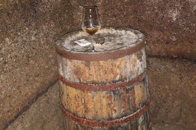 E-bike tour in Orvieto in small group: history, culture with lunch or dinner - Final Thoughts