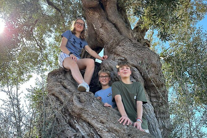 E-bike tour in Ostuni. Oil mill, Dolmen and huge olive trees - Practical Tips for Your Trip