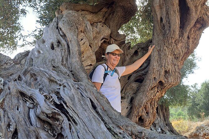 e-bike tour in the plain of the secular olive trees of Ostuni - Who Is This Tour Best For?