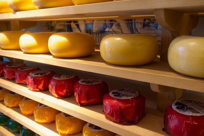 E-bike Tour with Picnic in the Amsterdam Wetlands small group - The Picnic in the Wetlands