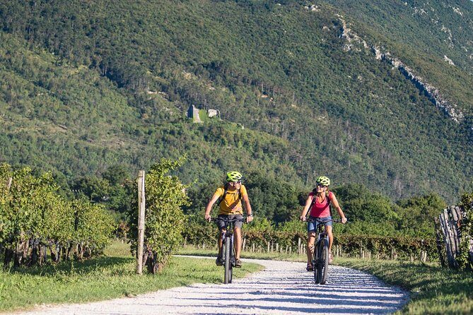 E-bike Vipava River Tour - Practical Details and Logistics