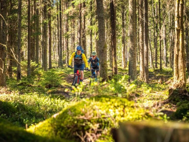 E-FatBike experience in small groups - The Itinerary: What to Expect