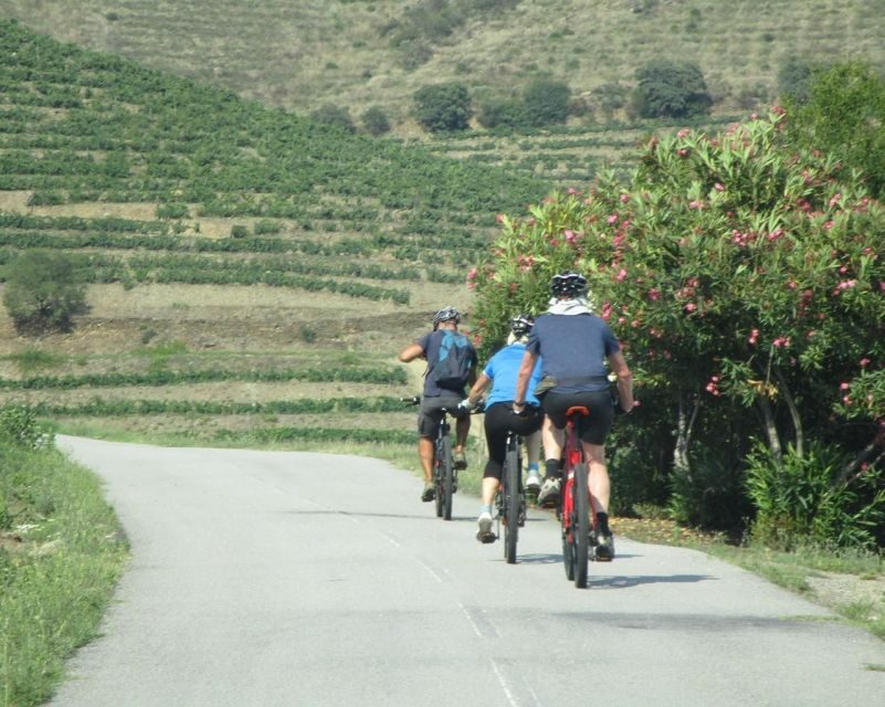 E-MTB - Vineyards Douro Tour - What’s Included and How It Adds Value
