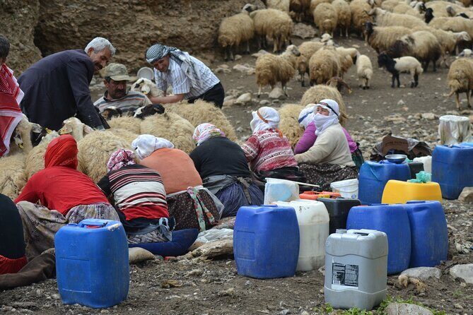 Eastern Turkey 12-Day Sightseeing Tour from Trabzon - The Practicalities: What to Expect