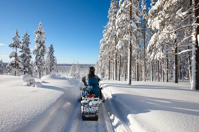 Easy Snowmobile Safari - Analyzing the Value and Practicalities