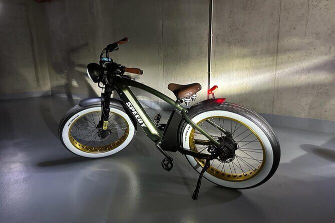 Ebike Sunset tour of Prague - Who Should Book This Tour?