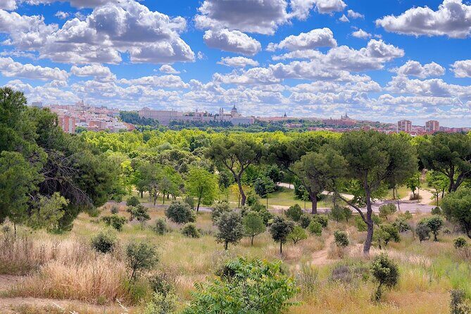 Ebike tour Madrid, green areas and panoramic views. 3 hours - Why Choose This Tour?