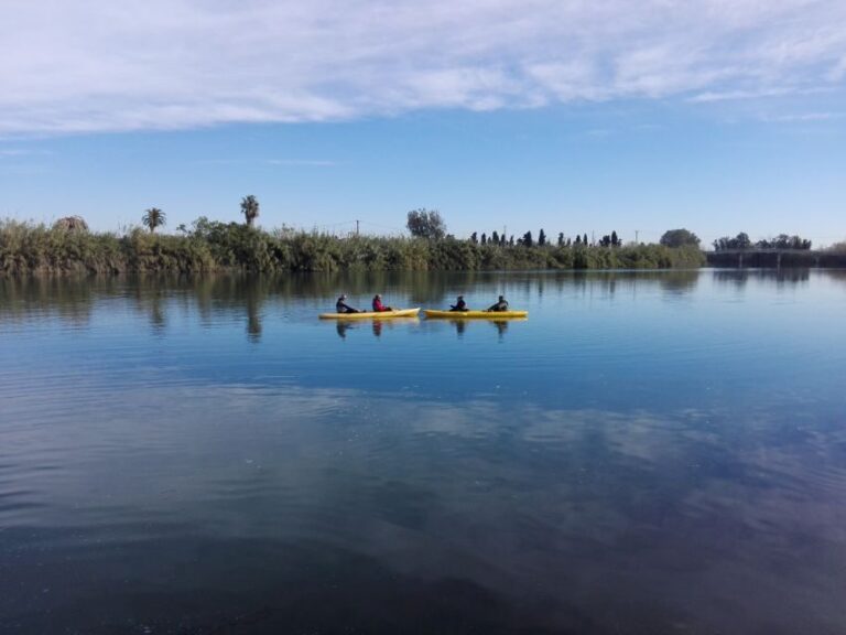 Ebro Delta: Guided Kayak Tour to Gracia Island - An In-Depth Look at the Kayak Tour Experience