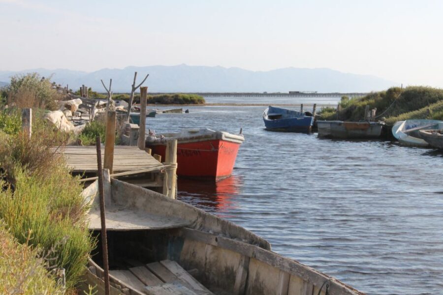 Ebro Delta: Northern Delta Guided Tour with a Local - First Stop: Illa de Mar and Fangar Bay