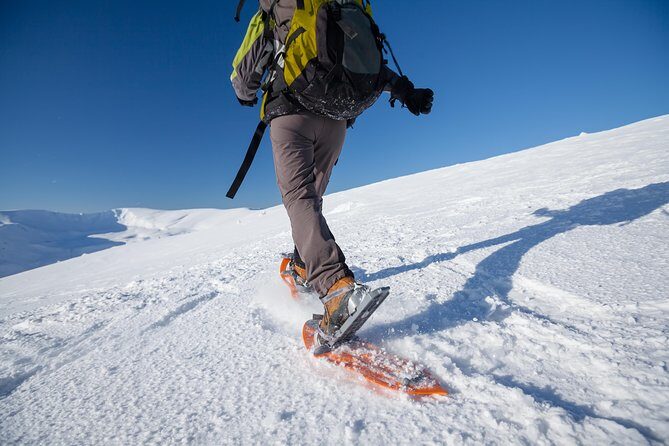 Eco friendly snowshoeing in Scenic Landscape - Itinerary Breakdown: What Can You Expect?